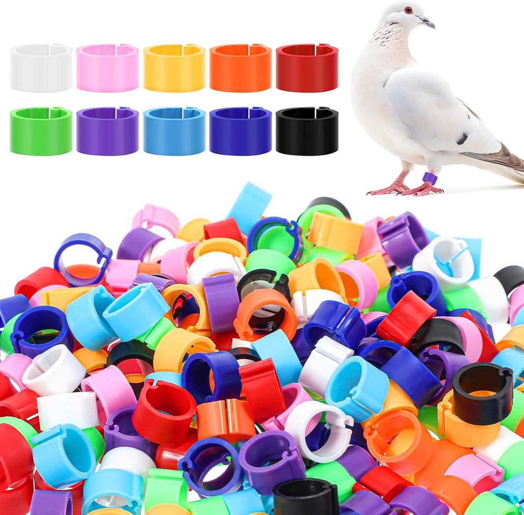 Wholesale Bird Bands | Custom Bird Rings | Personlized Pigeon Rings ...